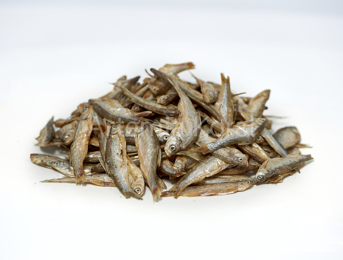 POISSON SEC 4-7